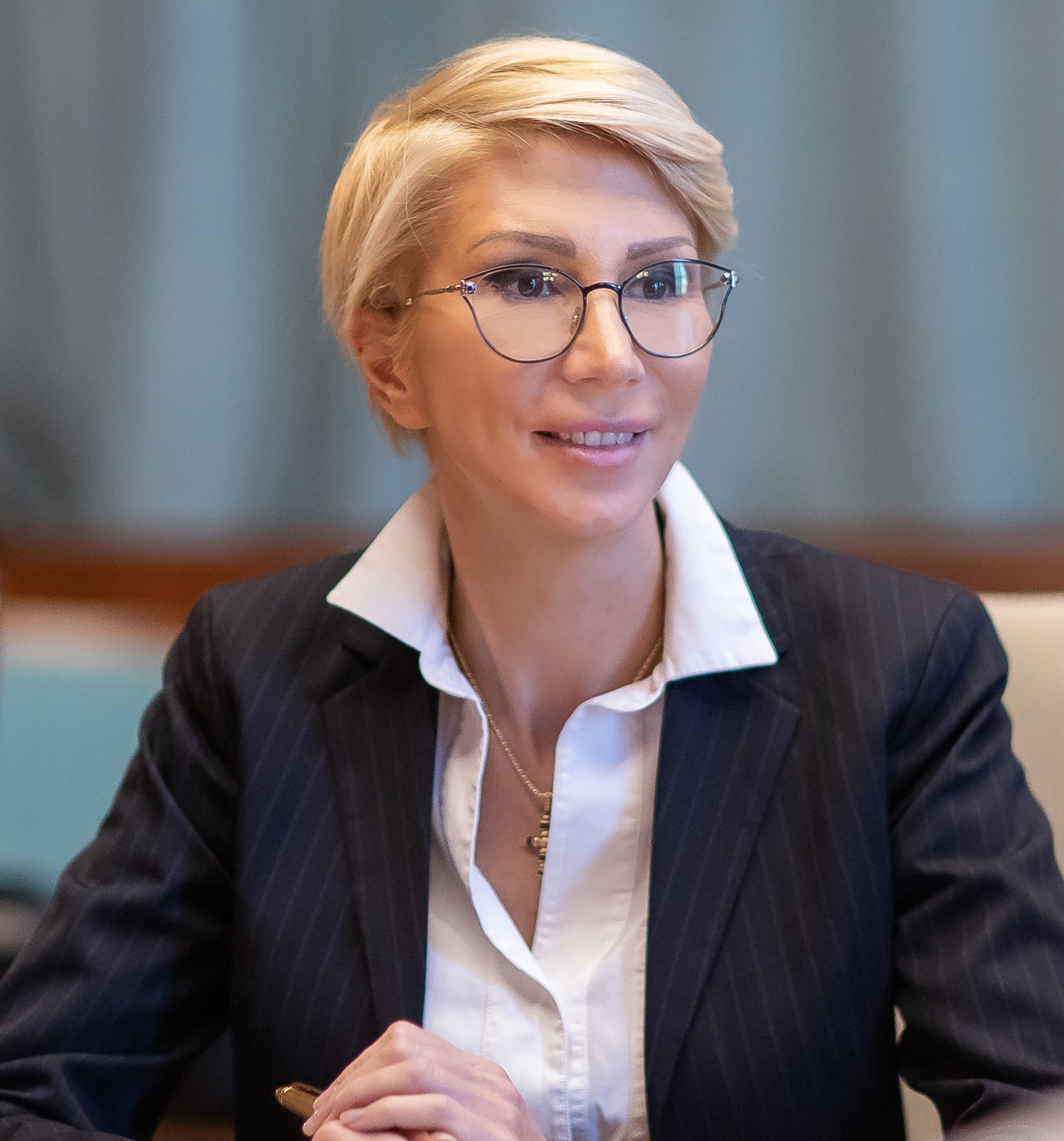 PNL – Partidul Național Liberal